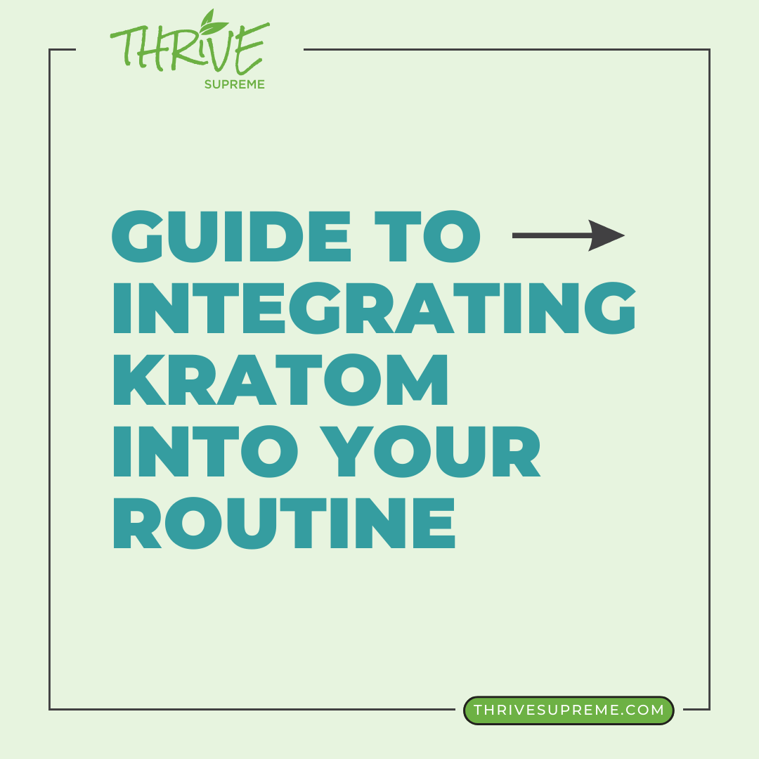 Your Guide to Integrating Kratom Into Your Routine - Thrive Supreme